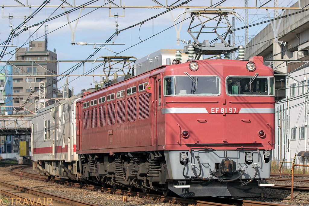 (12/8)リベンジ成功?EF81-97マヤ50回送 | TRAVAIR Railway Photograph