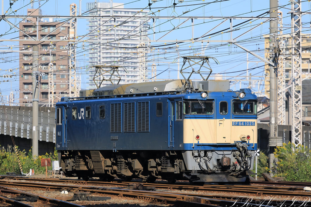 EF64-1025 | TRAVAIR Railway Photograph