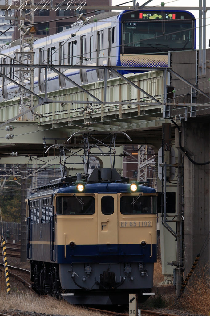 (3/20)1093レとEF65-1102黒砂試単 | TRAVAIR Railway Photograph