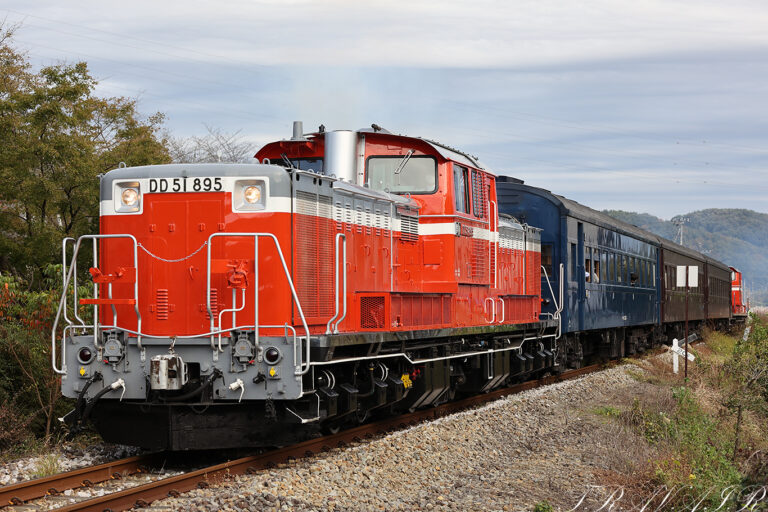 DD51-895 | TRAVAIR Railway Photograph